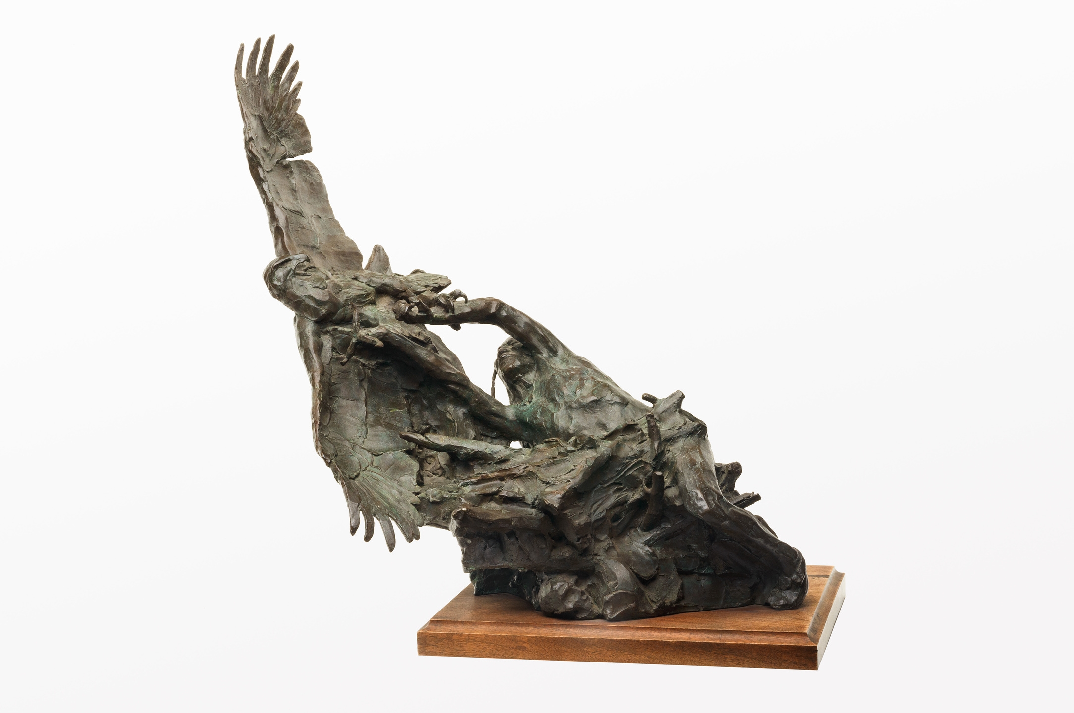 George Carlson | Eagle Catcher | MutualArt