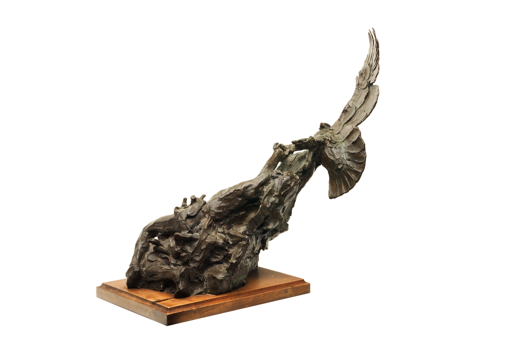 George Carlson | Eagle Catcher | MutualArt