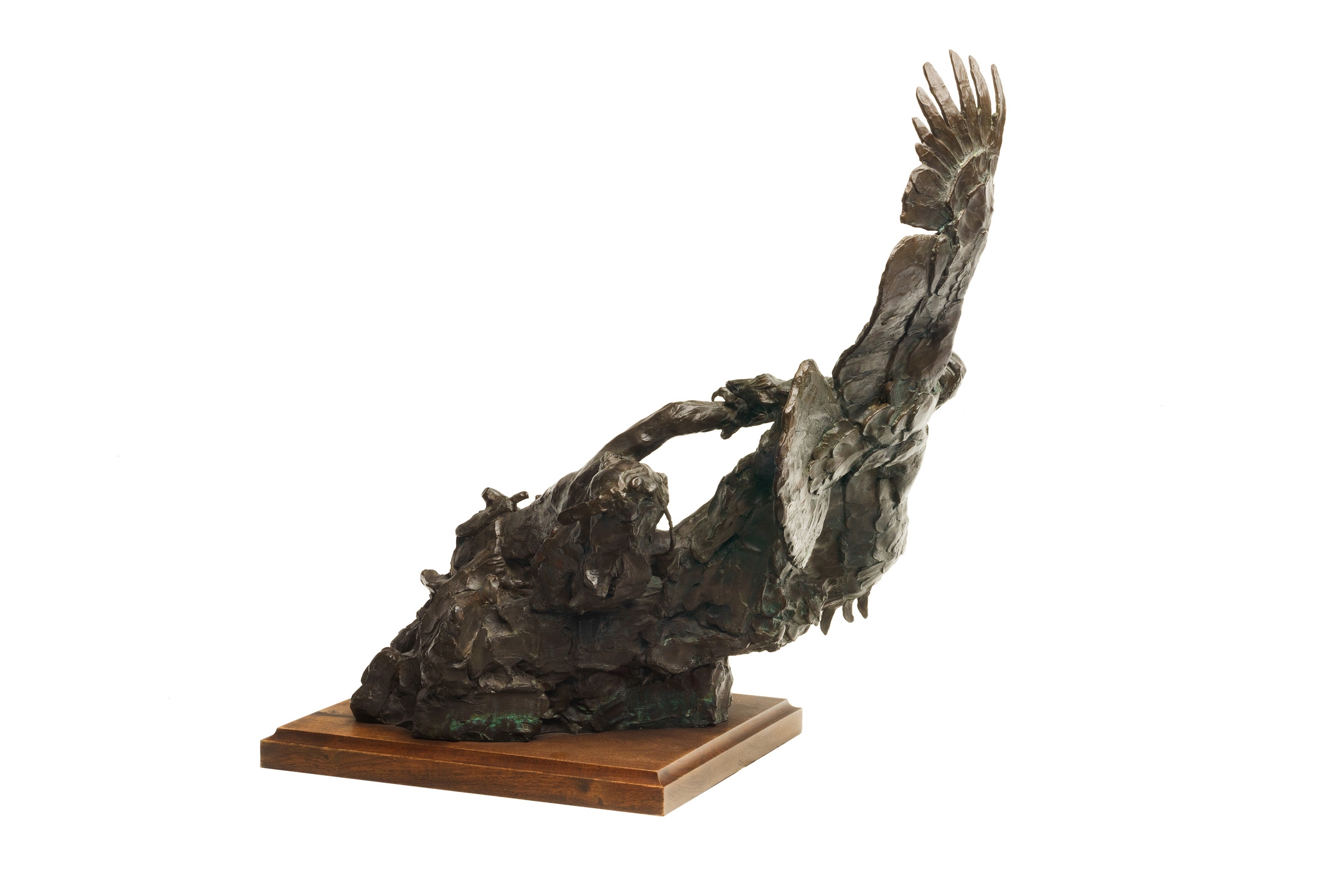 George Carlson | Eagle Catcher | MutualArt