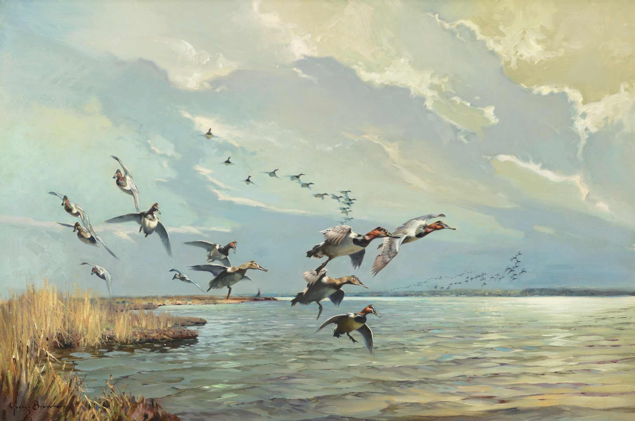 George Browne | Canvasbacks on the Nanticoke River (1950) | MutualArt