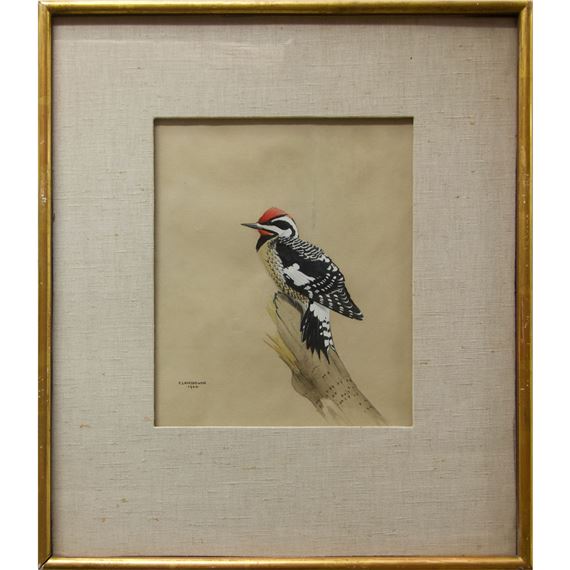 James Fenwick Lansdowne | Head of Goose (1958) | MutualArt