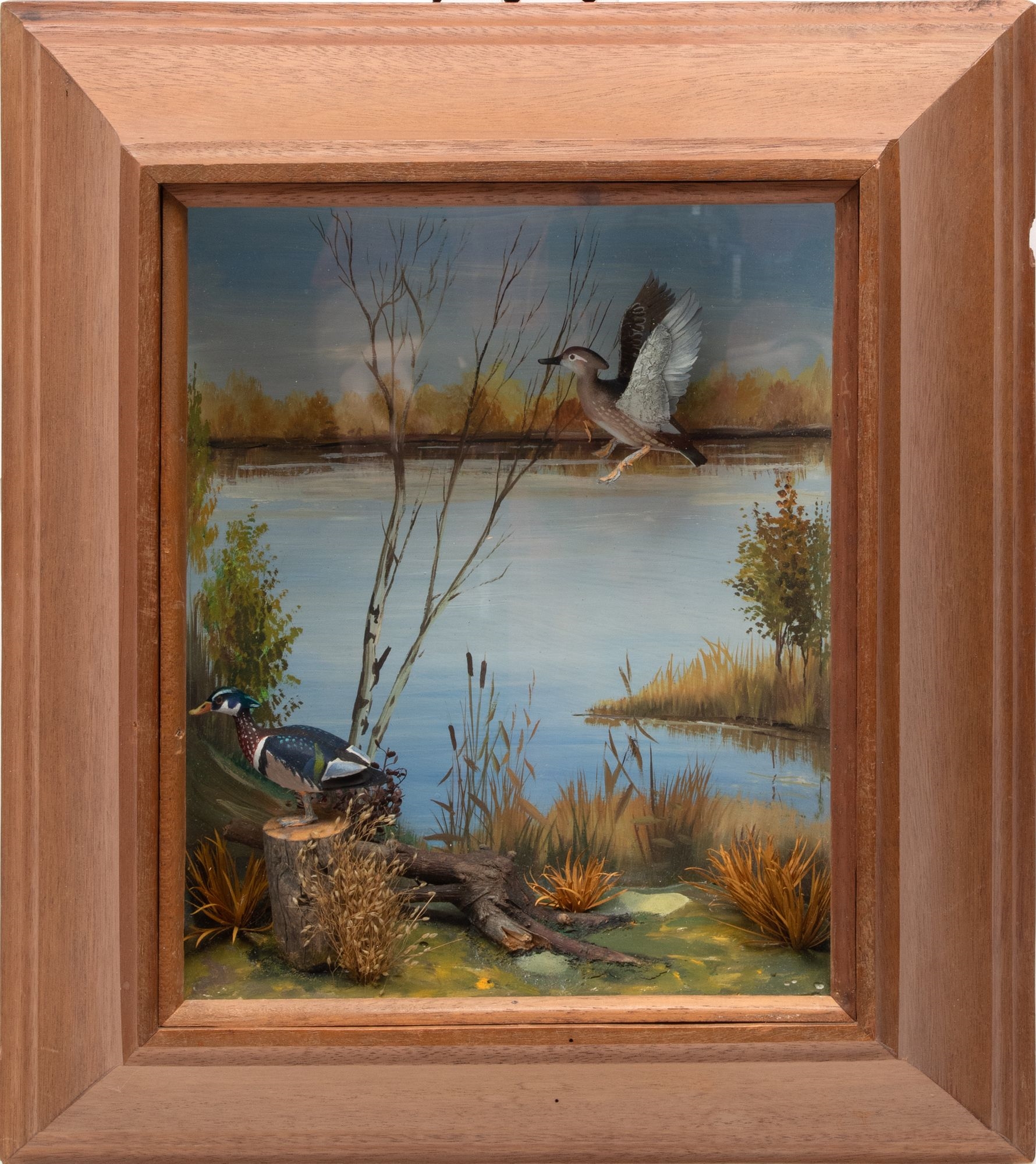 Runar G. Rodell | Duck Diorama | MutualArt