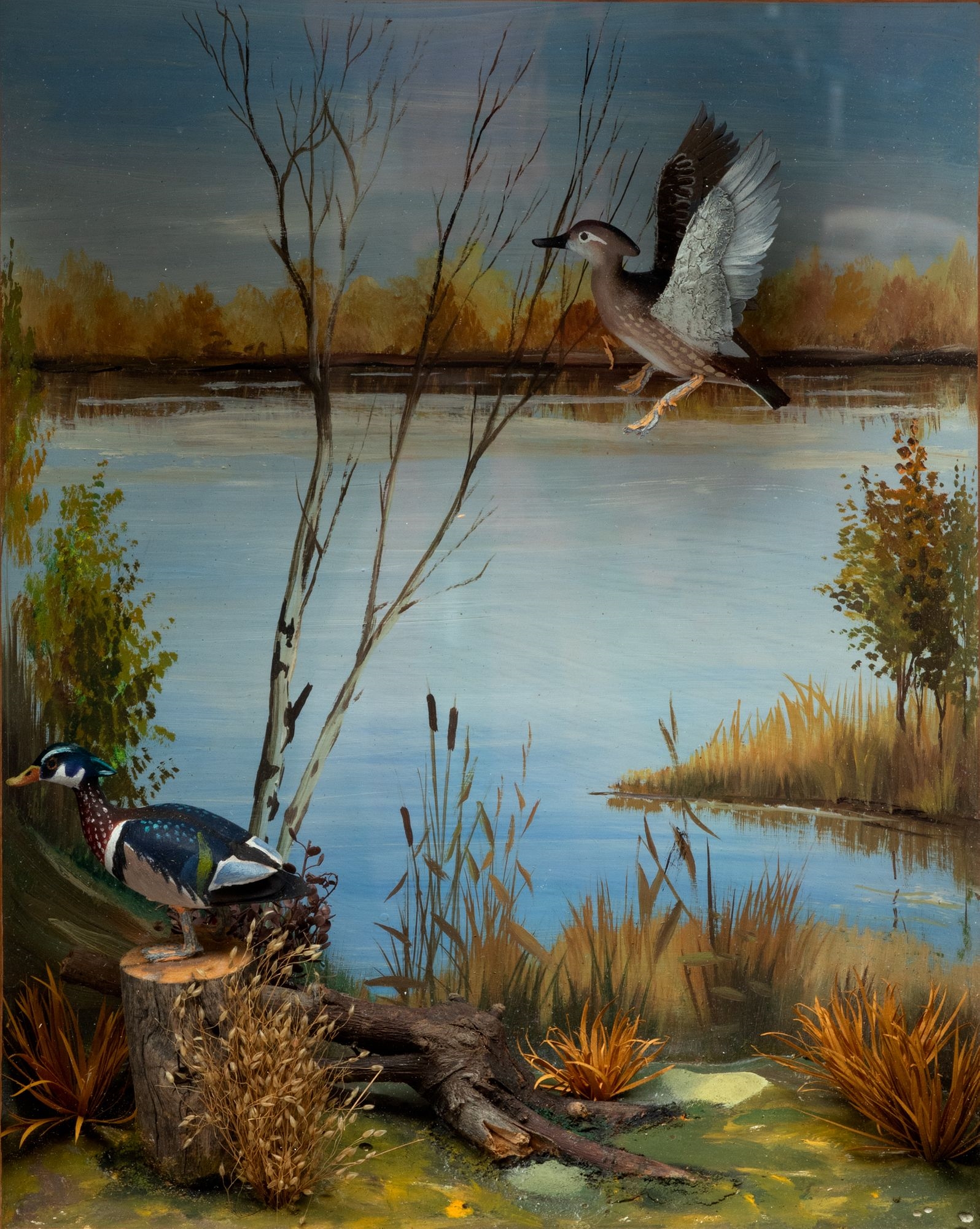 Runar G. Rodell | Duck Diorama | MutualArt