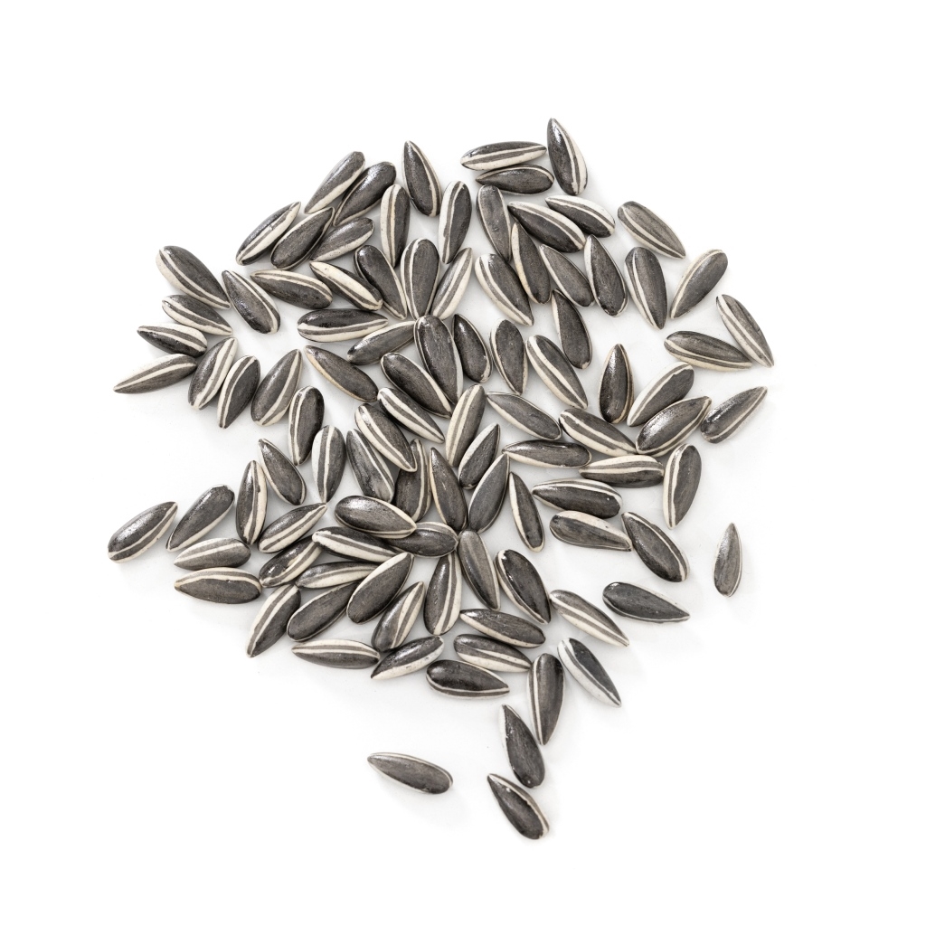 Ai Weiwei | SUNFLOWER SEEDS | MutualArt
