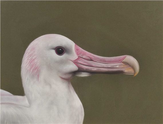 Robert Ouellette | Duck | MutualArt