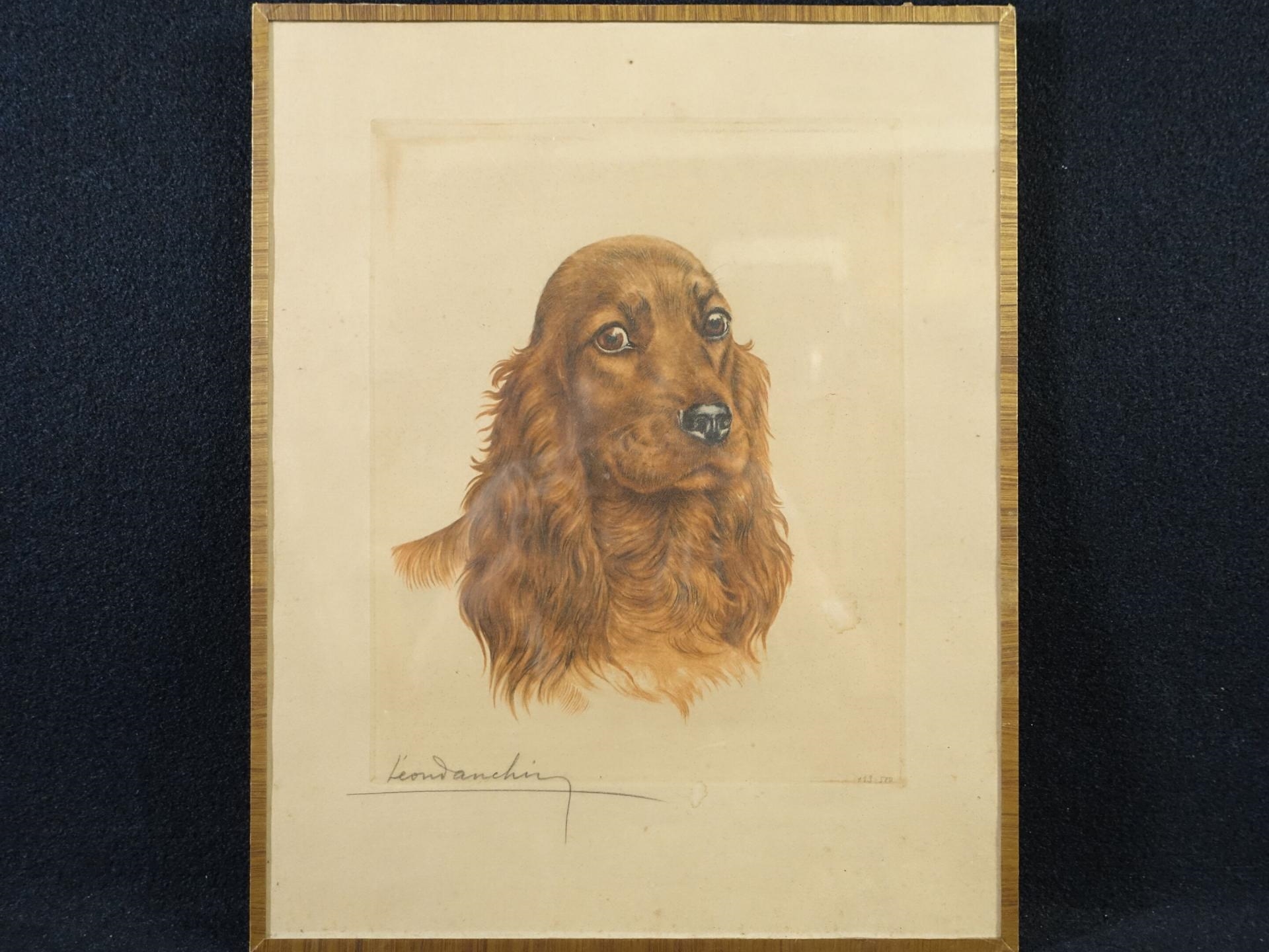 Leon Danchin | Tête de cocker | MutualArt
