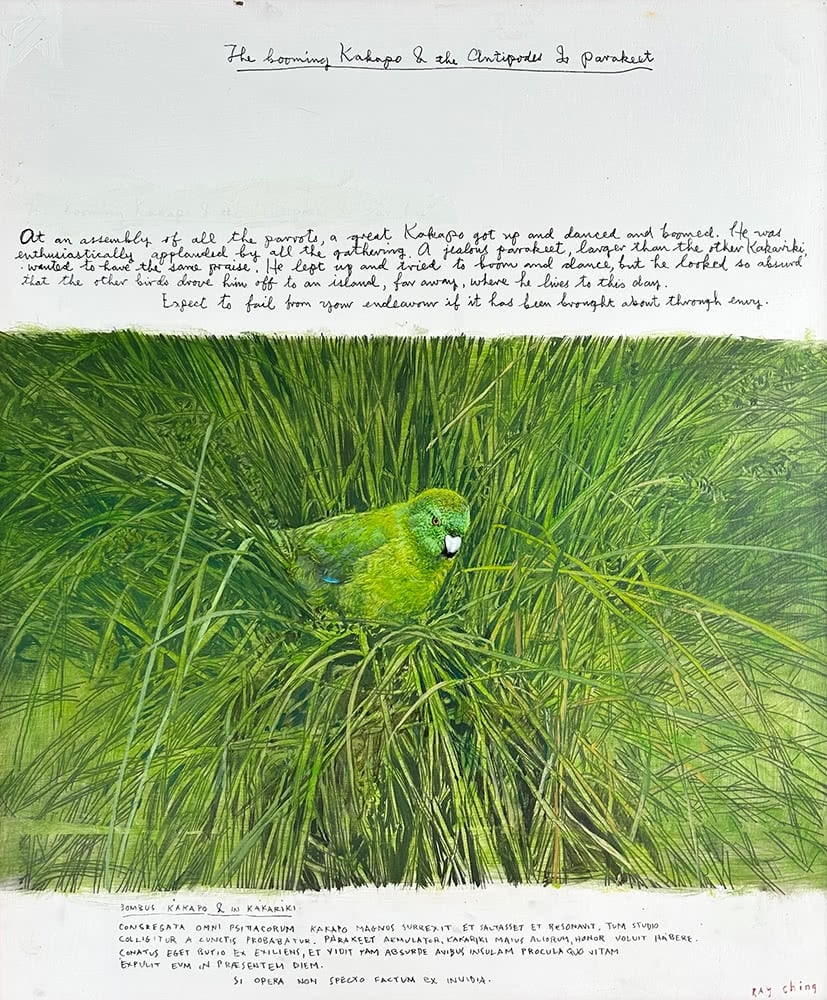 Raymond Harris Ching | P. 207 The Blooming Kakapo & the Parakeet ...