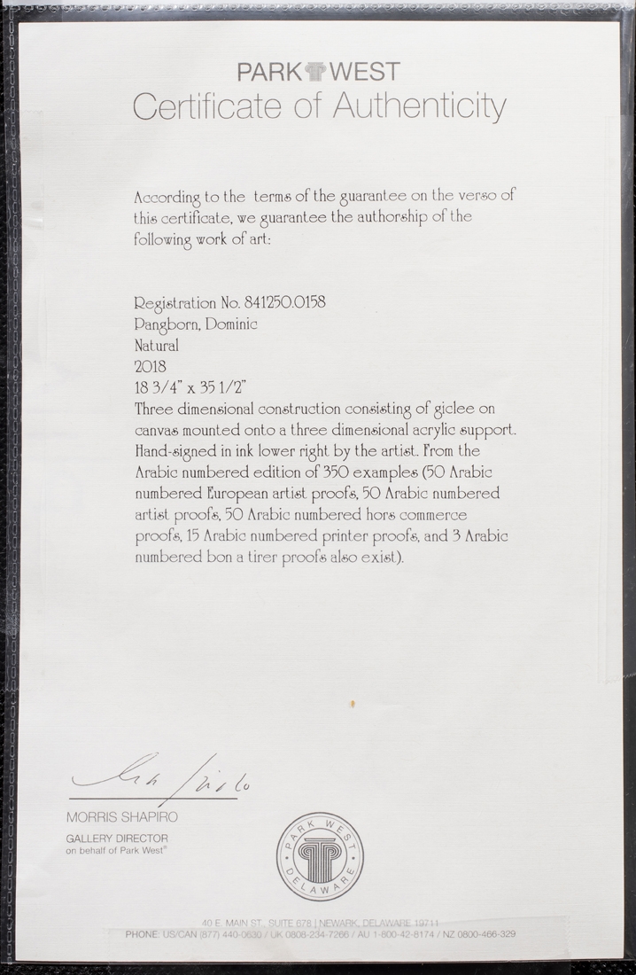 Dominic Pangborn | Natural (2018) | MutualArt