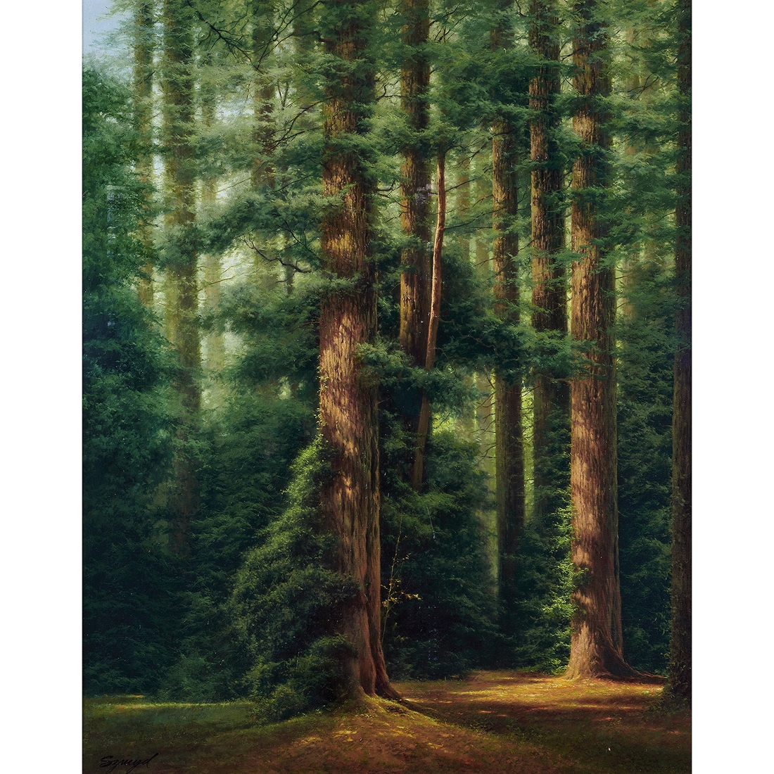 Edward Szmyd | Redwood Forest, | MutualArt