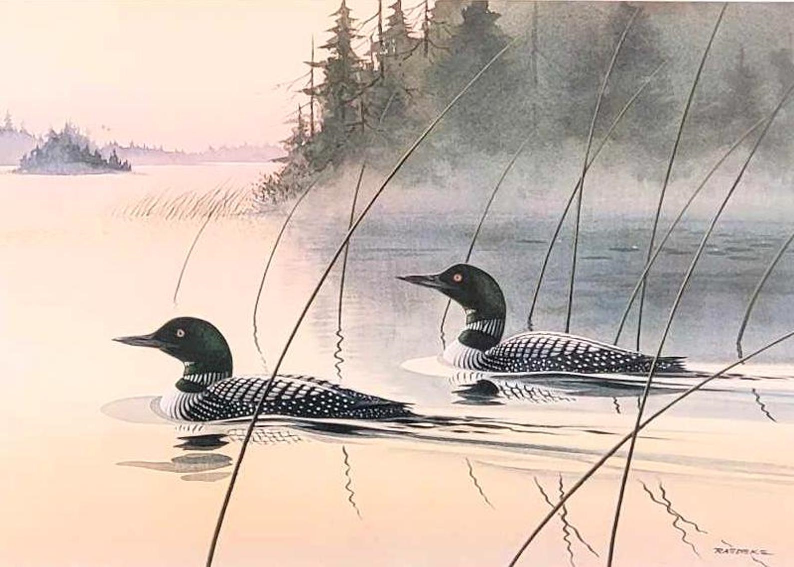 Jerry Raedeke | Loon Song II | MutualArt