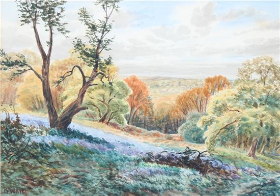 B. Ward | extensive landscape | MutualArt