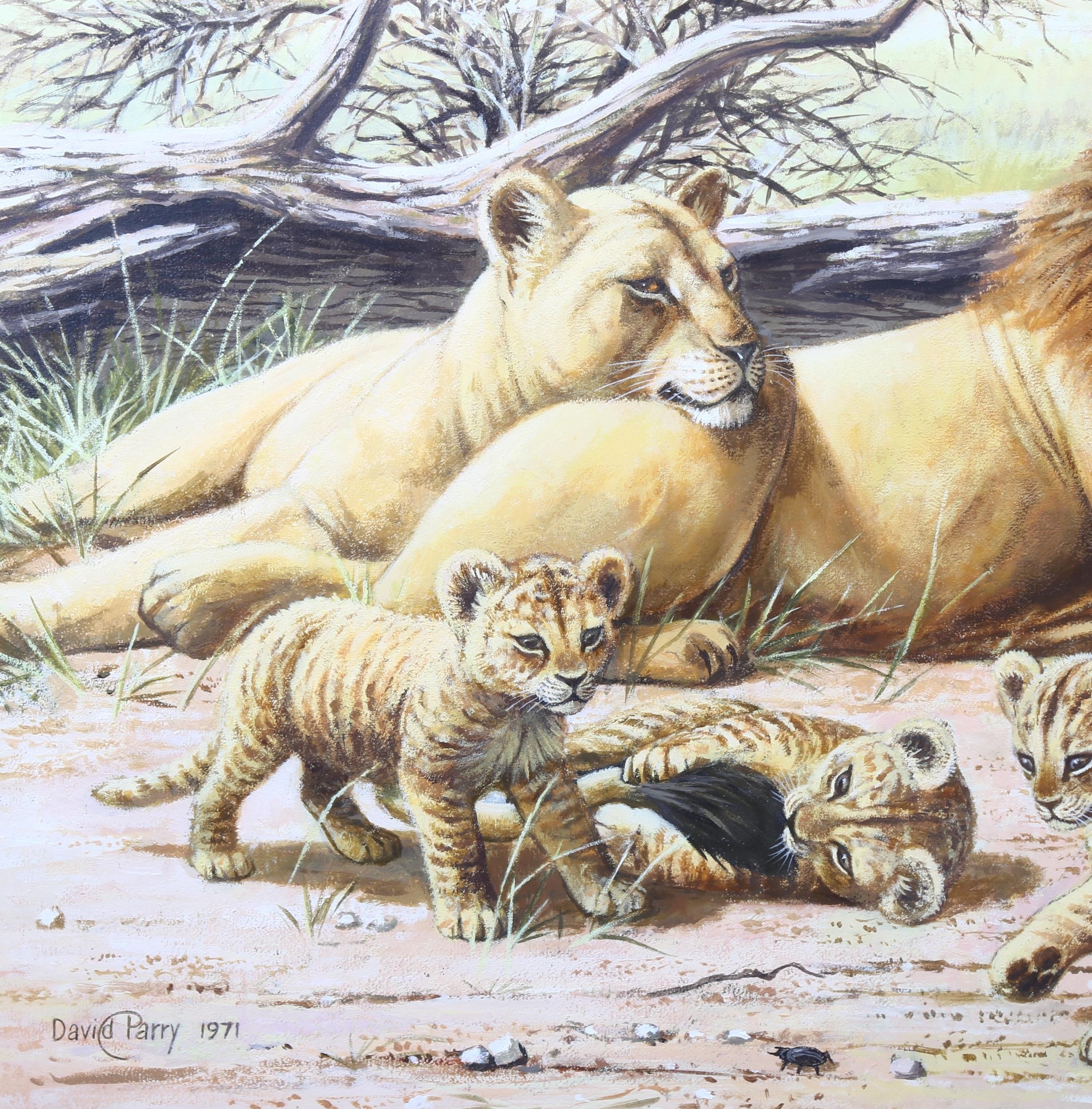 David Parry | study of lions and cubs (1971) | MutualArt