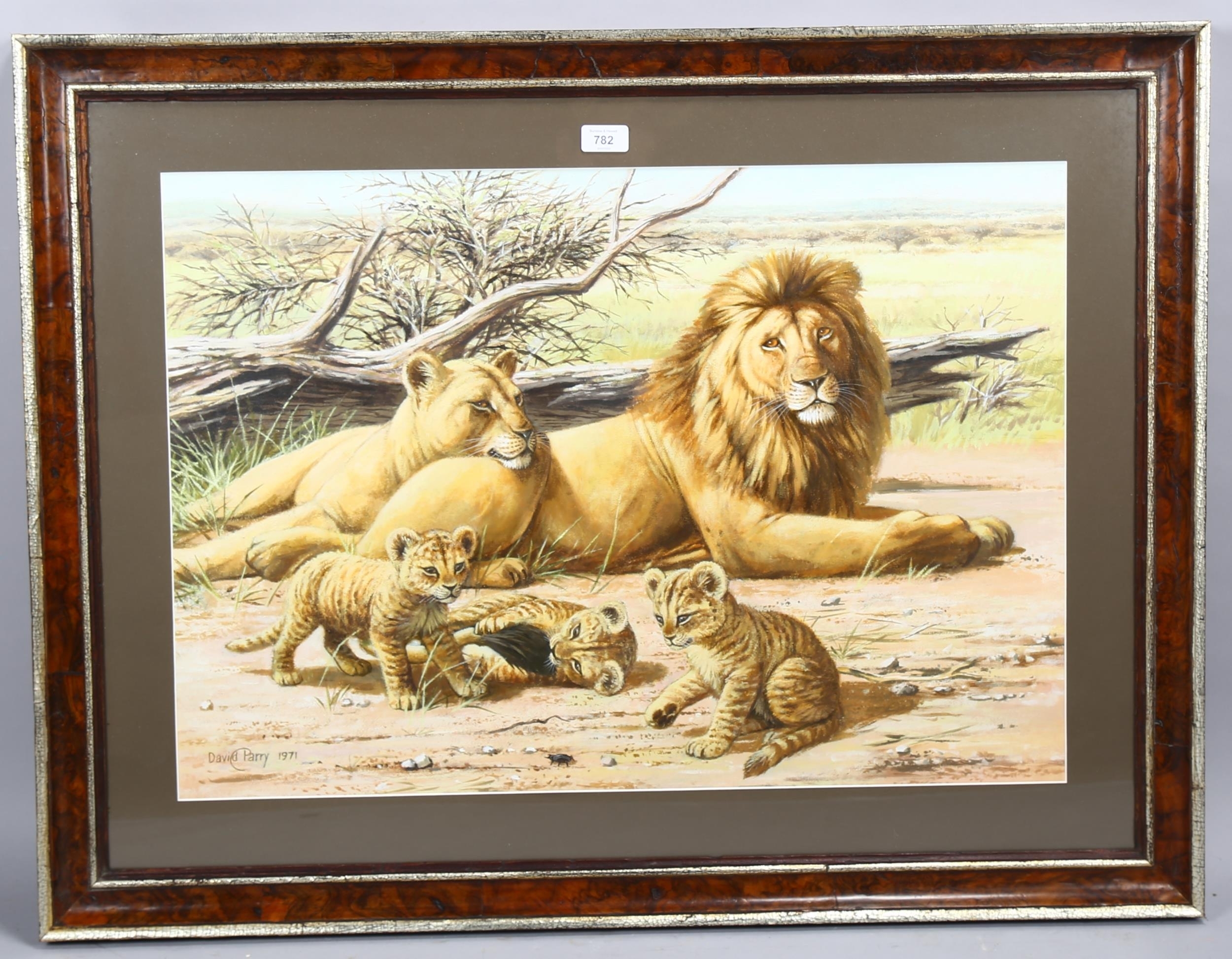 David Parry | study of lions and cubs (1971) | MutualArt