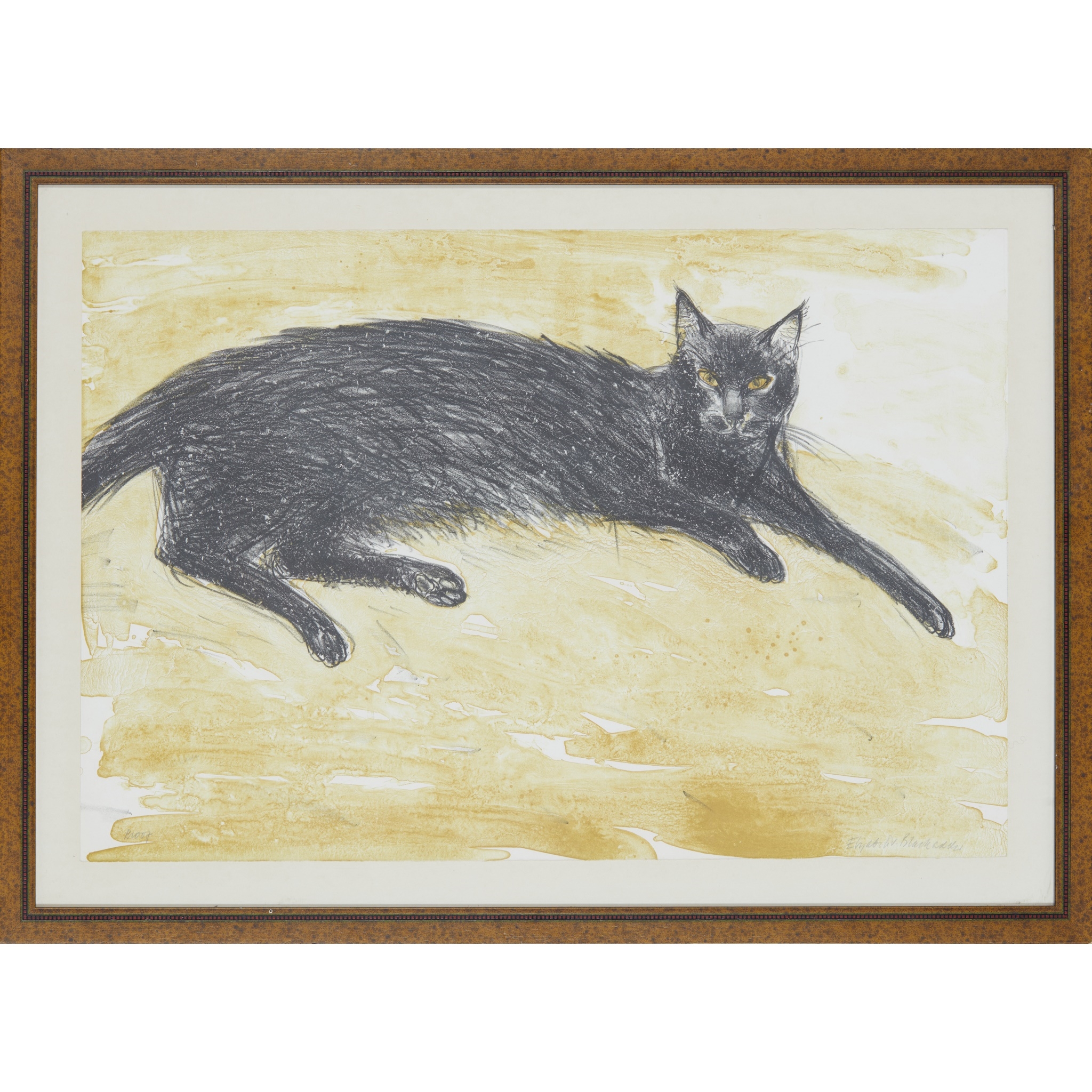 Elizabeth Blackadder | BLACK CAT | MutualArt