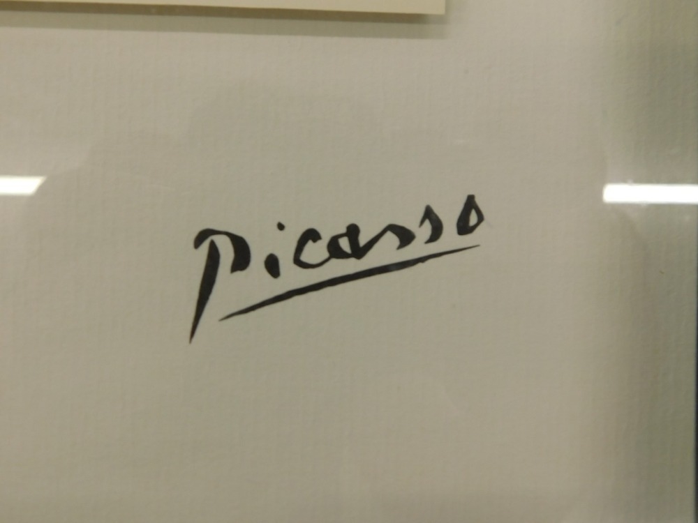 Pablo Picasso | animal sketches | MutualArt