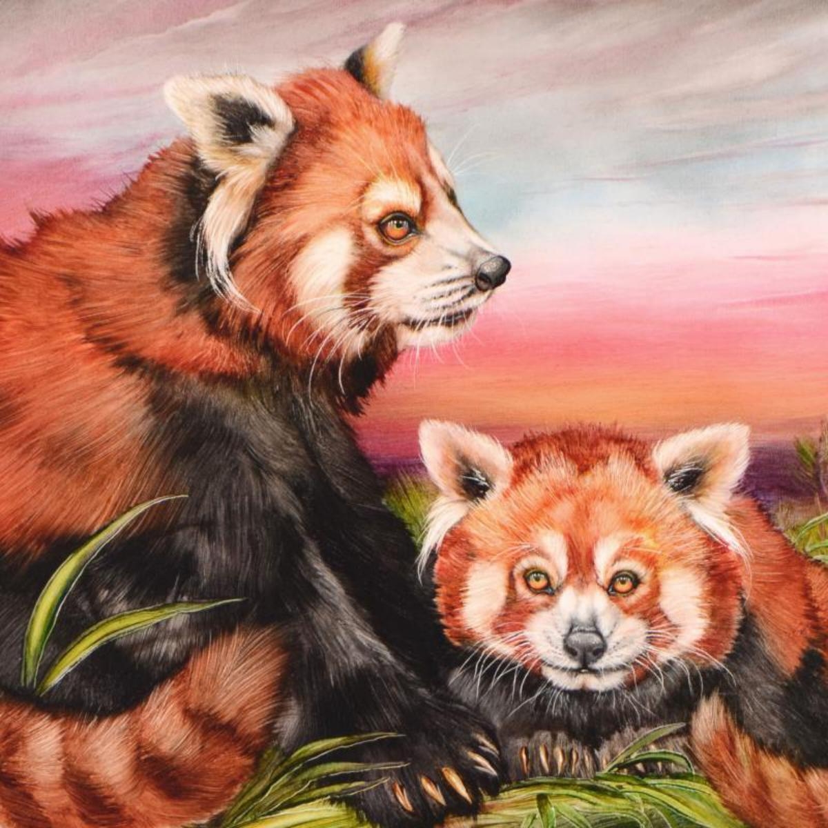 Martin Katon | Red Panda Mother And Cub | MutualArt