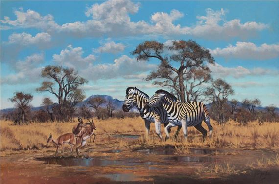 Nico Coetzee | ZEBRAS AND IMPALA | MutualArt