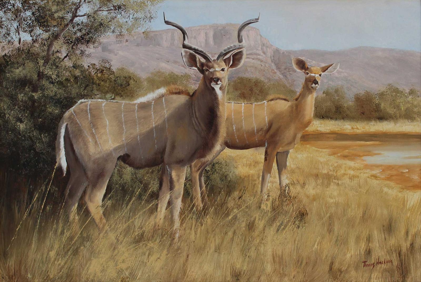 Thomas Hacking | KUDU | MutualArt