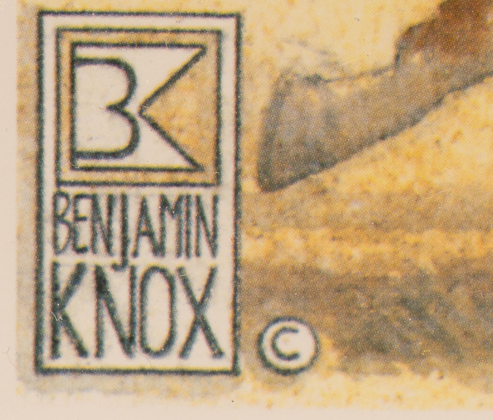 Benjamin Knox | Alamo Symbols of Freedom | MutualArt