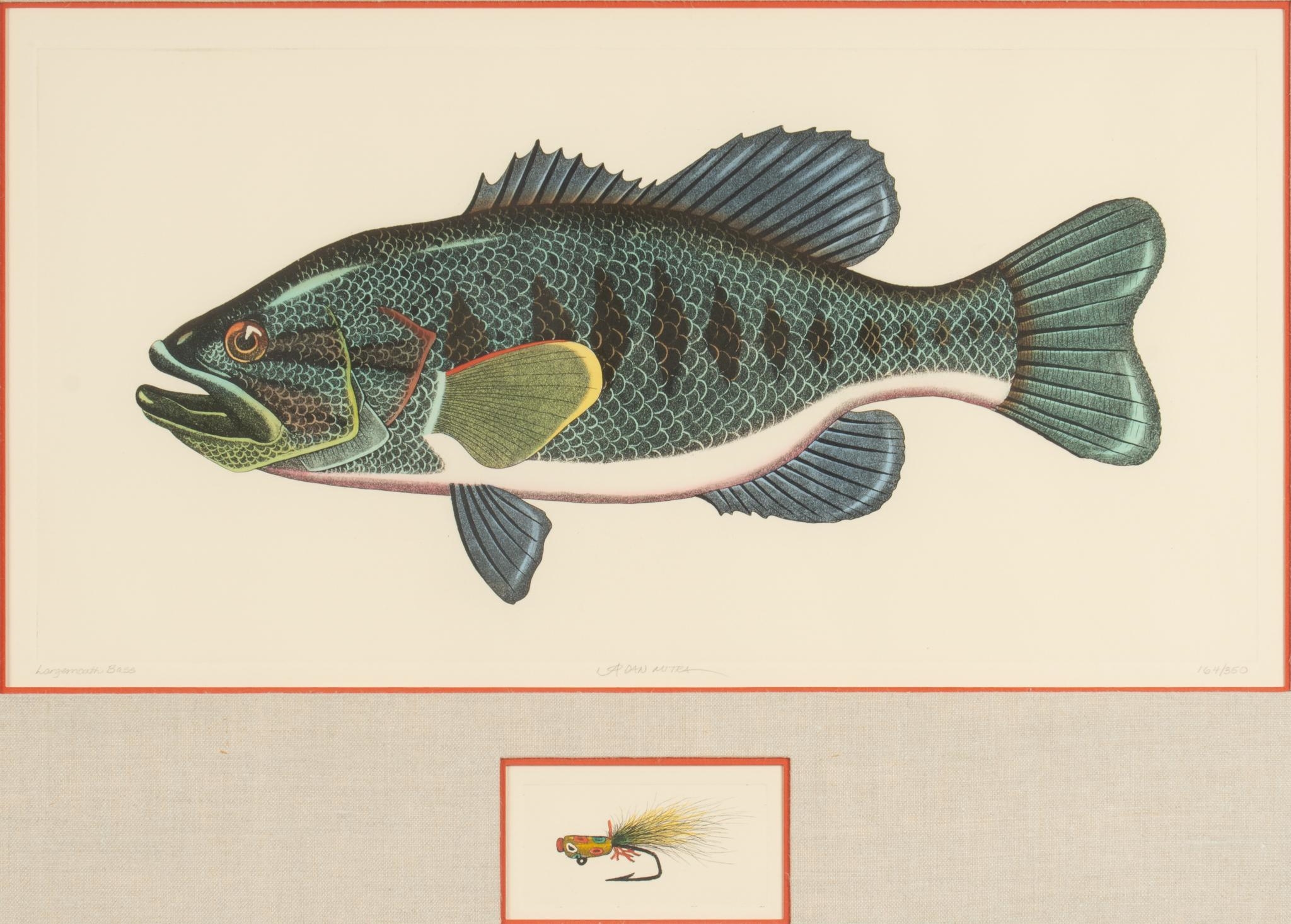 Dan Mitra | Brook Trout; Largemouth Bass | MutualArt