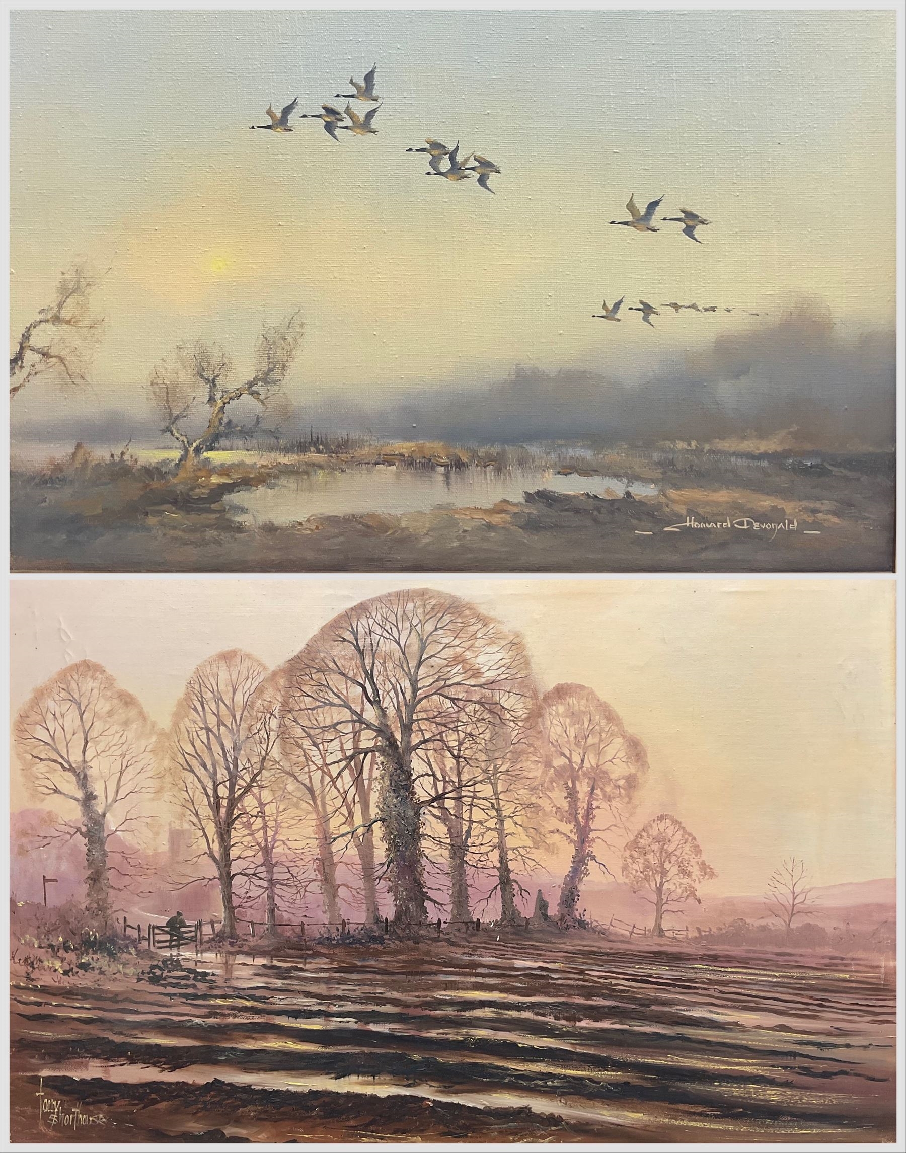 Howard Devonald | Geese in Flight over Marshland | MutualArt