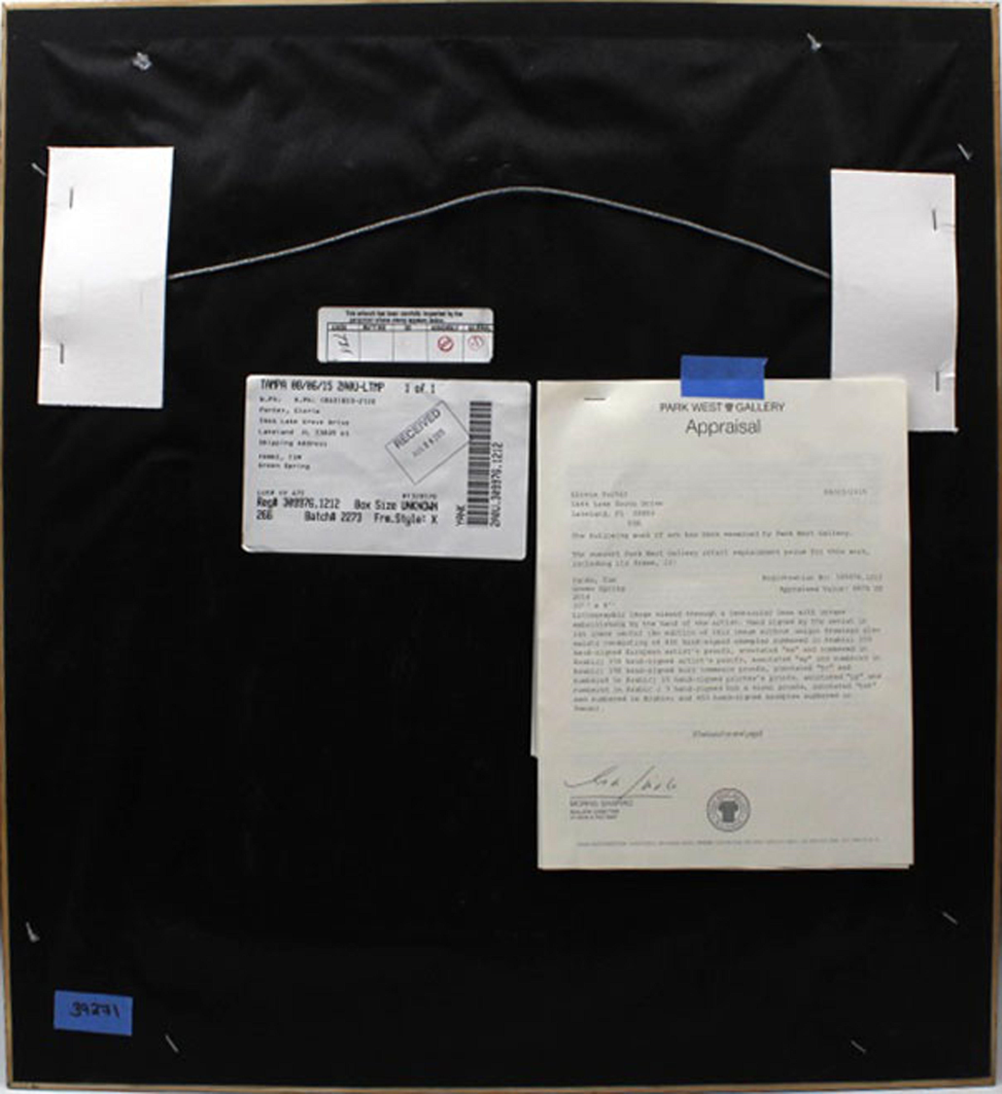 Tim Yanke | GREEN SPRING LENTICULAR LITHOGRAPH (2014) | MutualArt