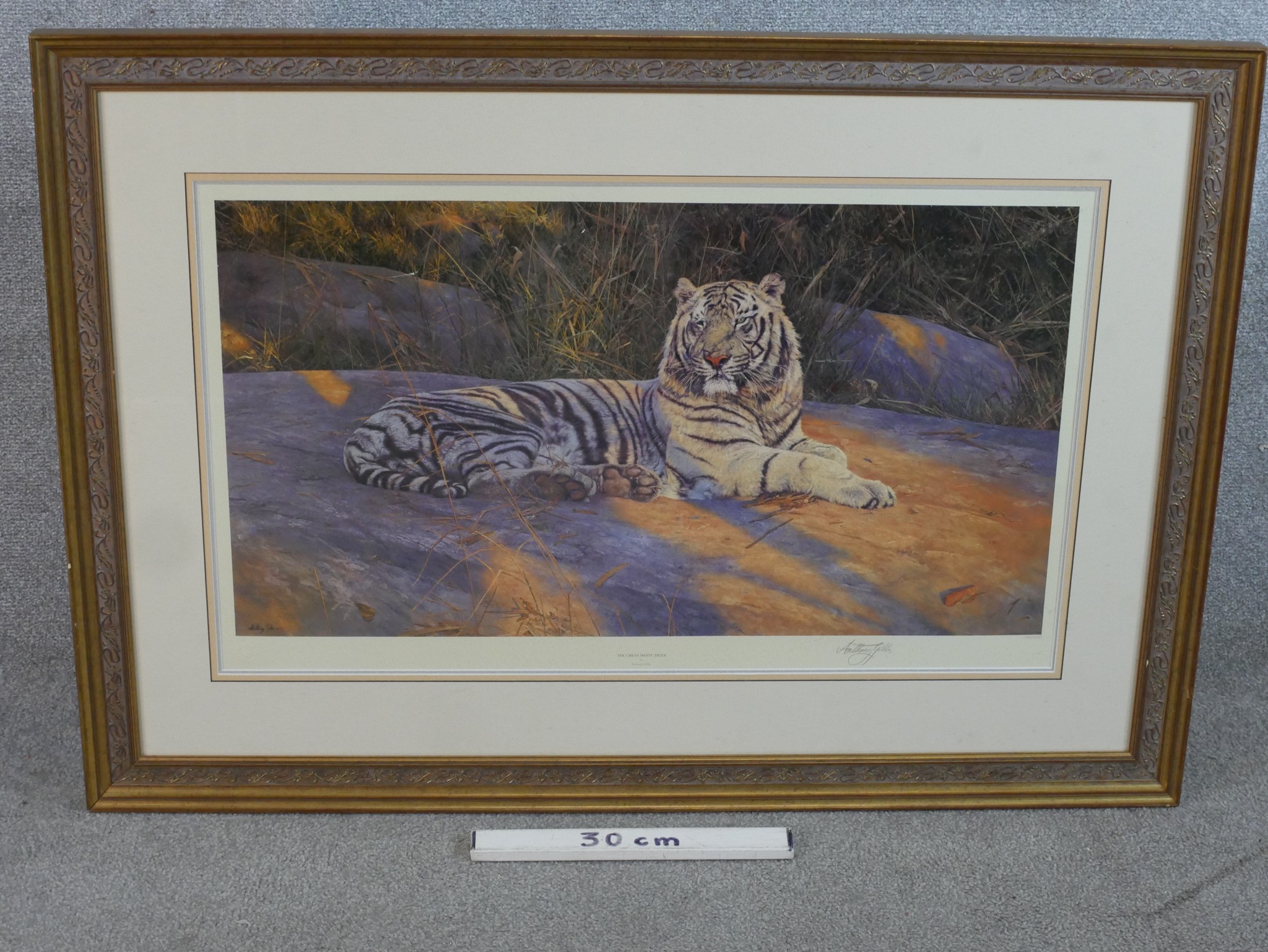 Anthony Gibbs | The Great White Tiger | MutualArt