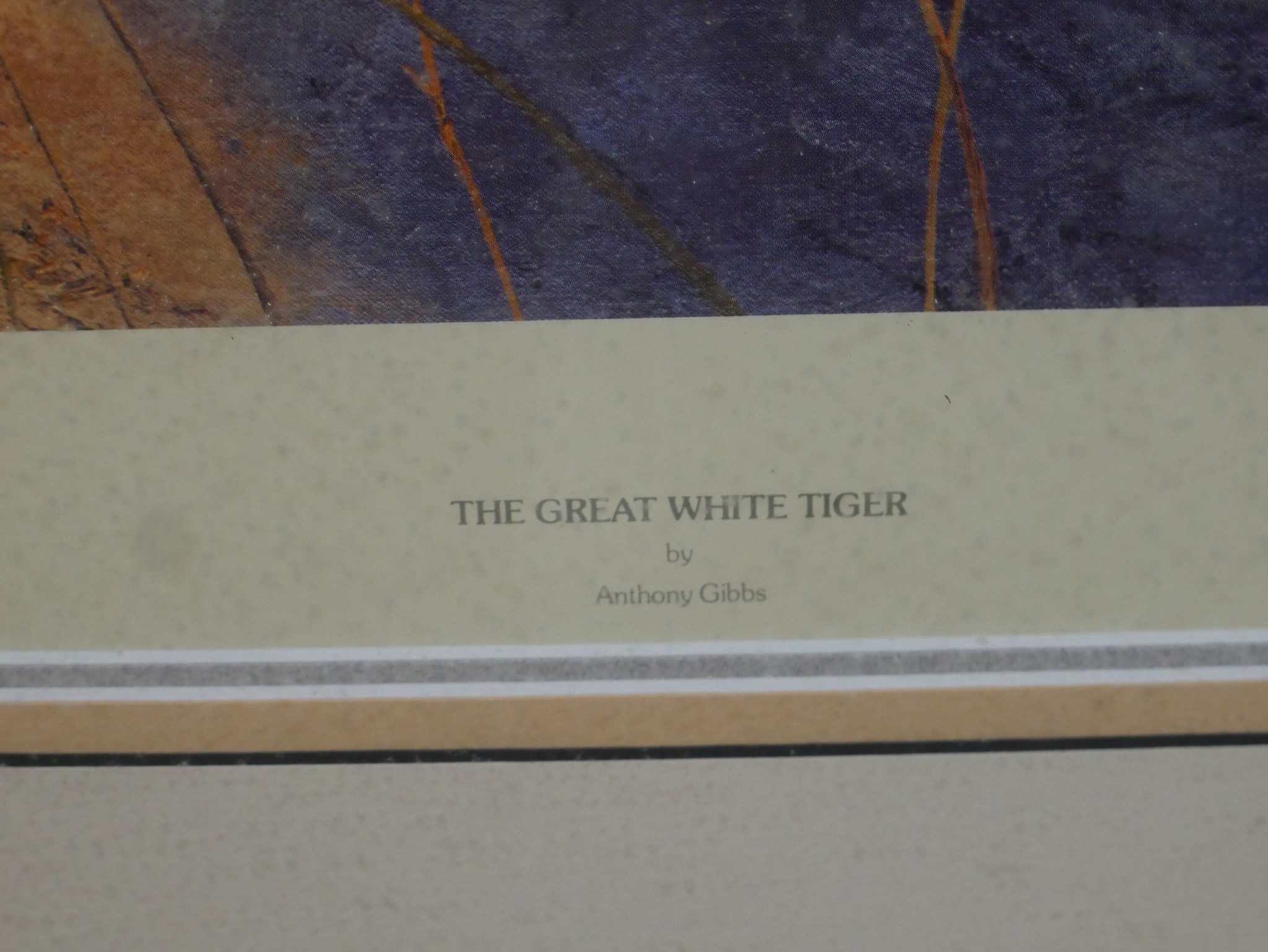 Anthony Gibbs | The Great White Tiger | MutualArt