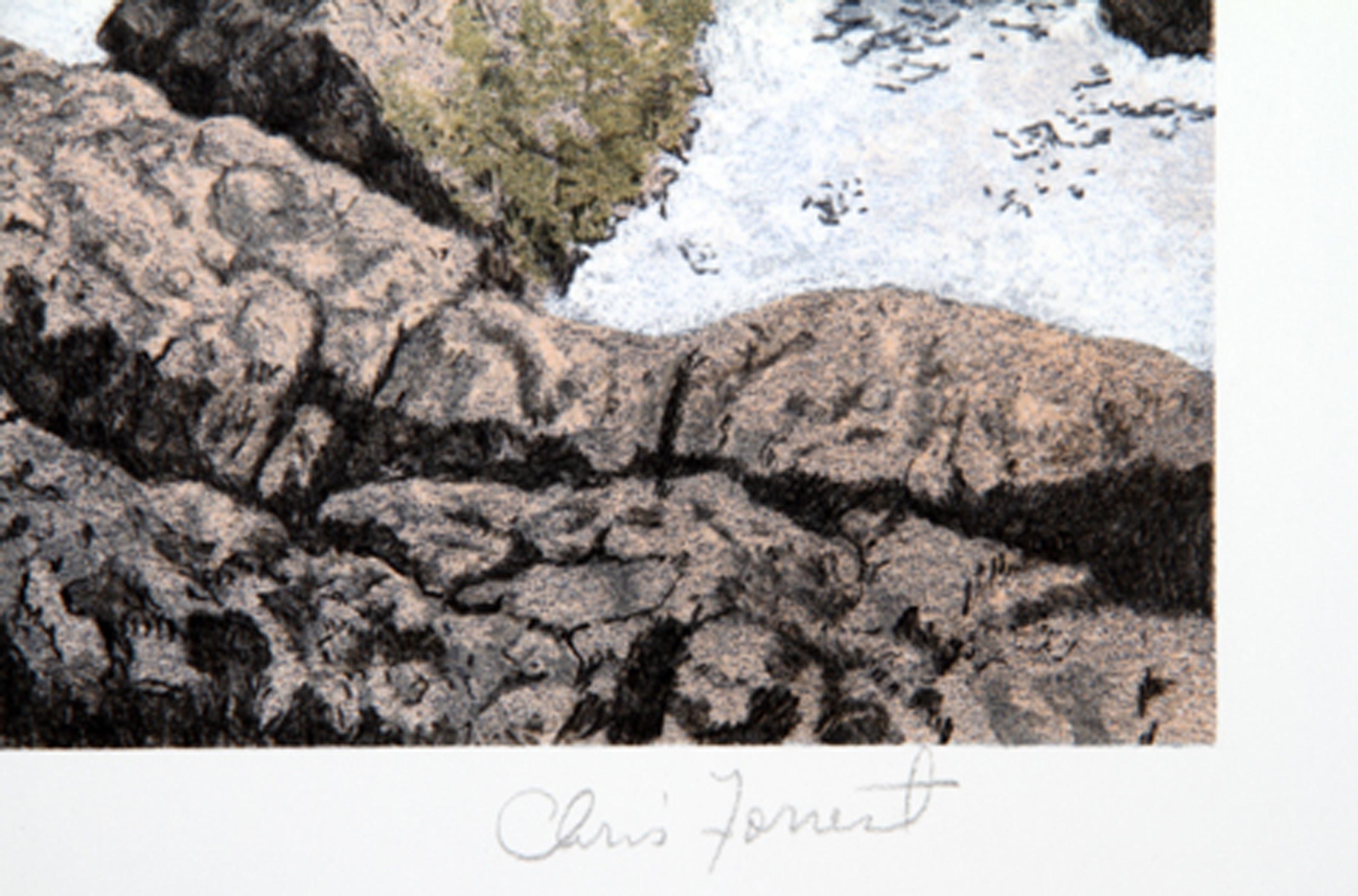 Chris Forrest | Falcon's Vigil (Circa 1979) | MutualArt