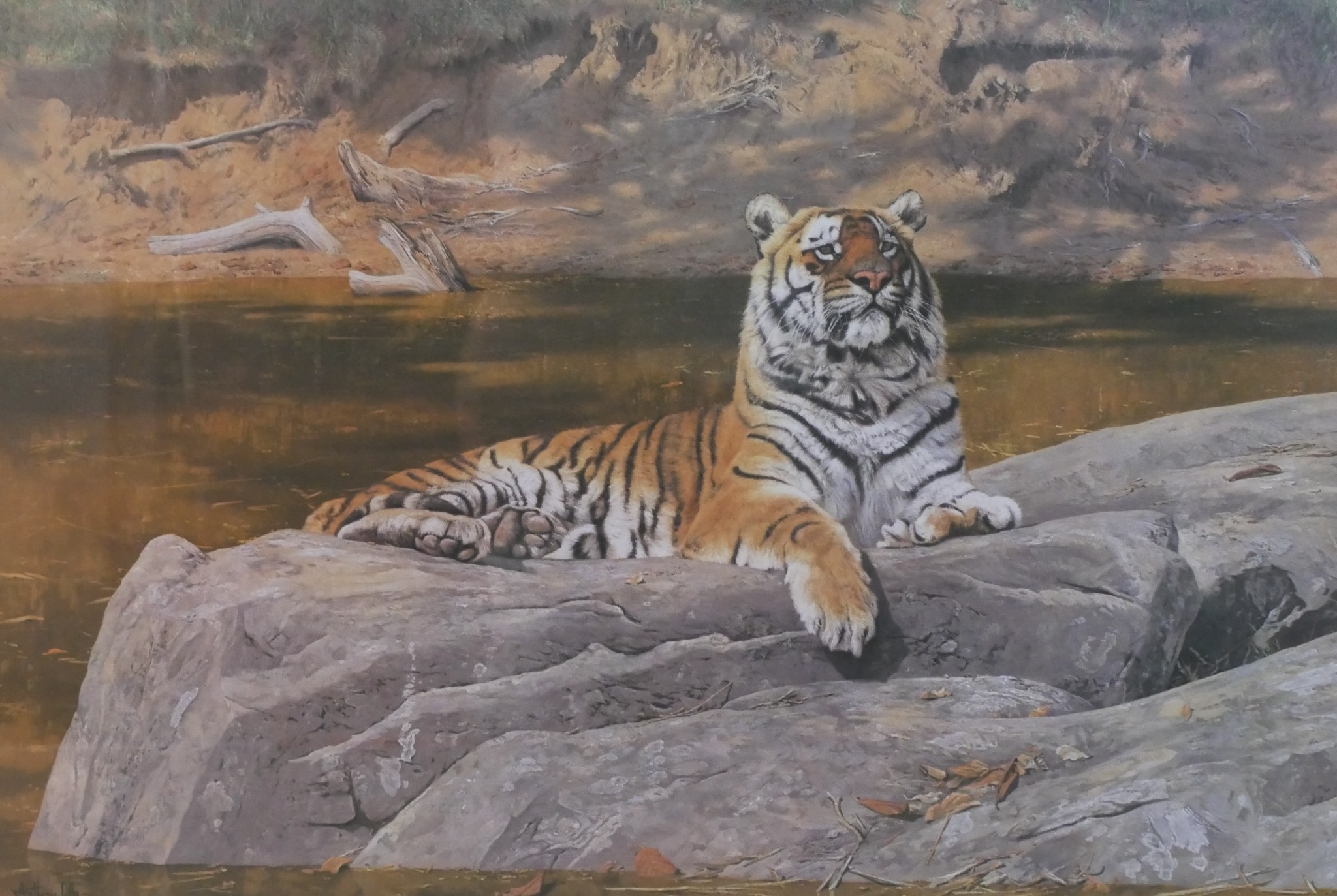 Anthony Gibbs | Quizzical Quadruped | MutualArt