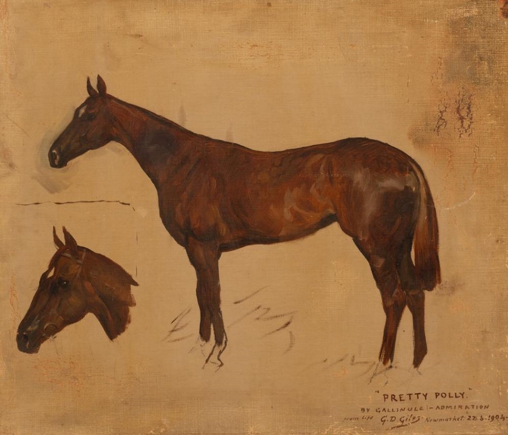 Godfrey Douglas Giles | Pretty Polly study of a racehorse (1904 ...