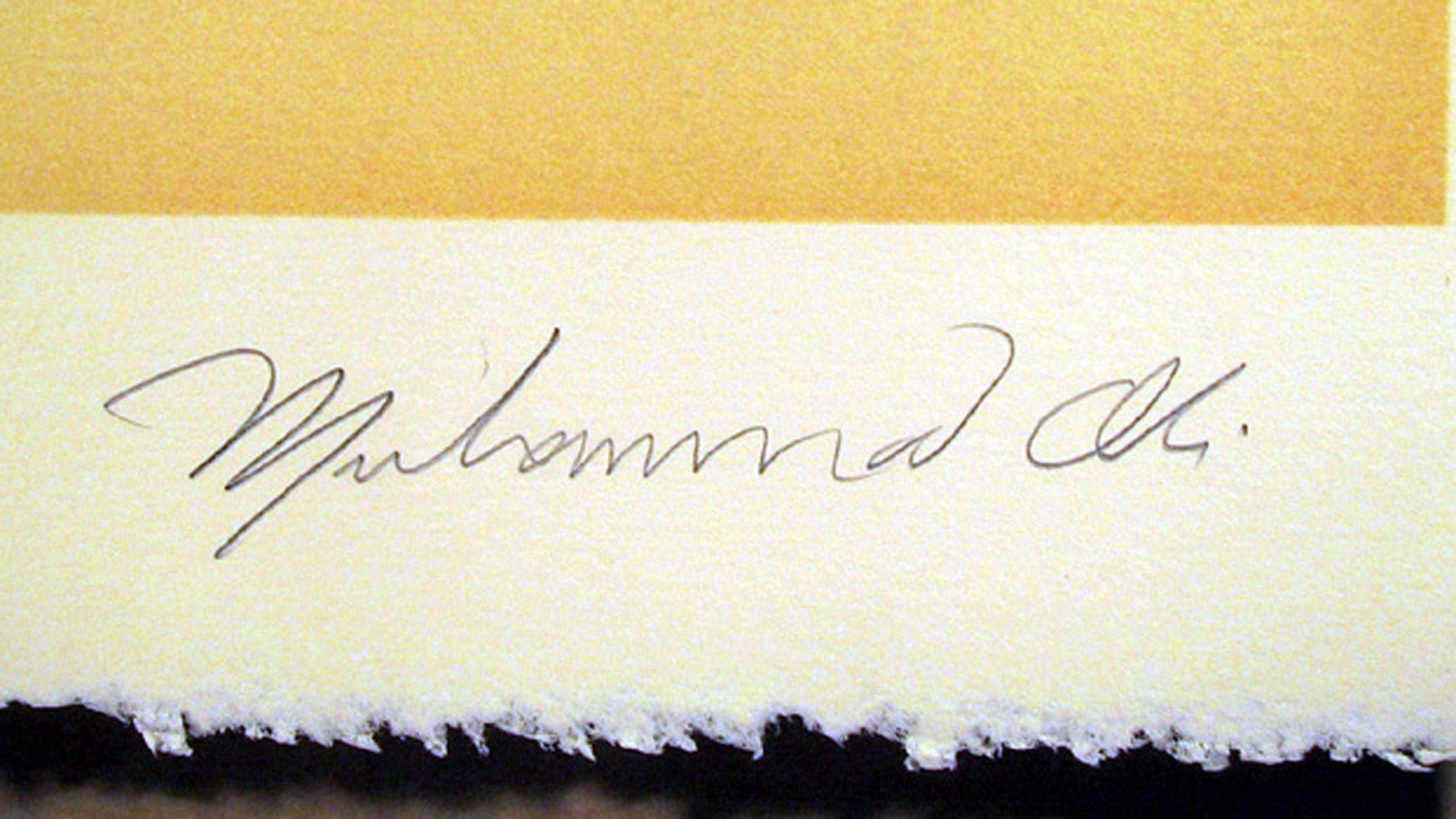 Muhammad Ali | Under the Sun (1979) | MutualArt