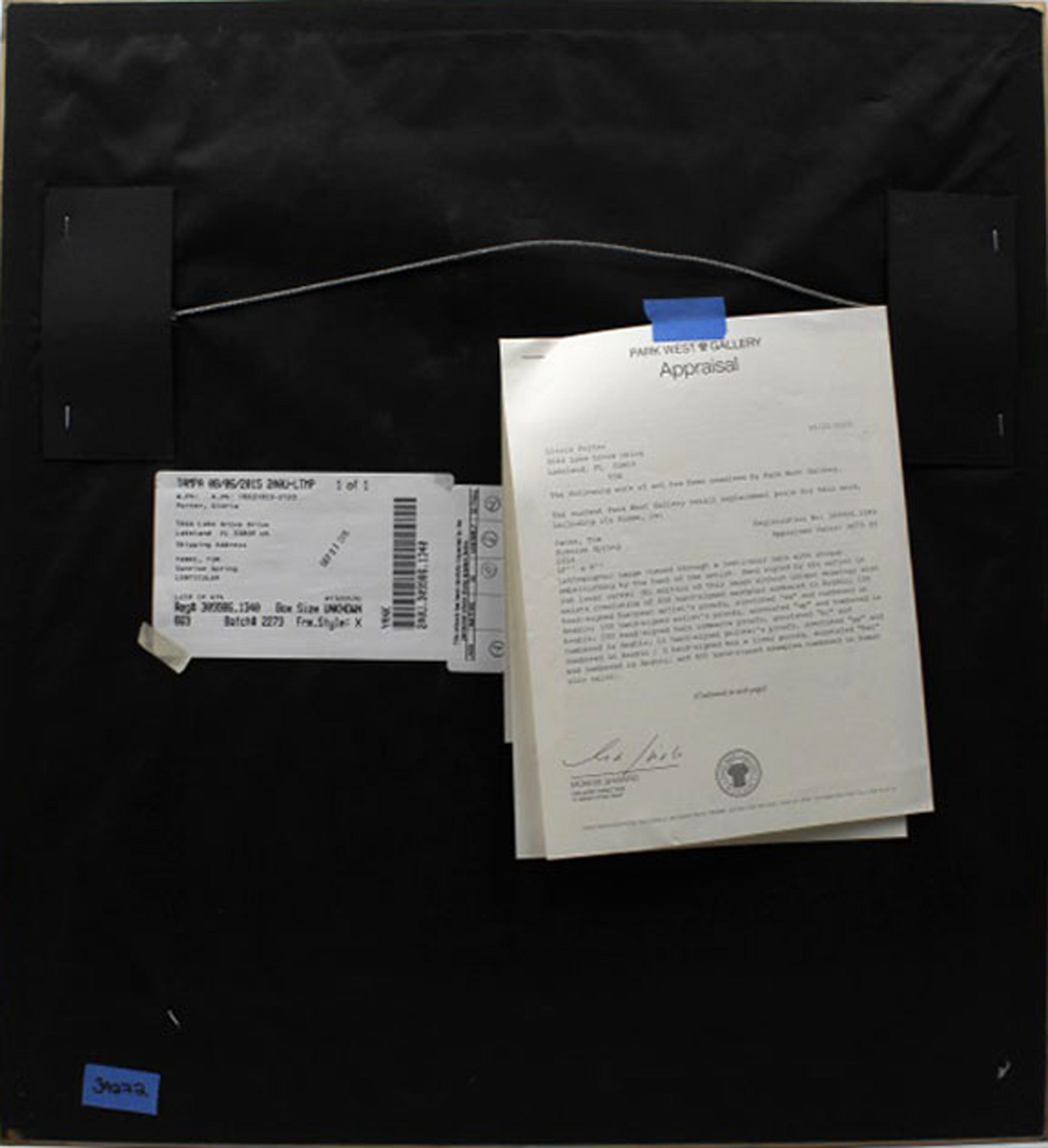 Tim Yanke | SUNRISE SPRING LENTICULAR LITHOGRAPH (2014) | MutualArt