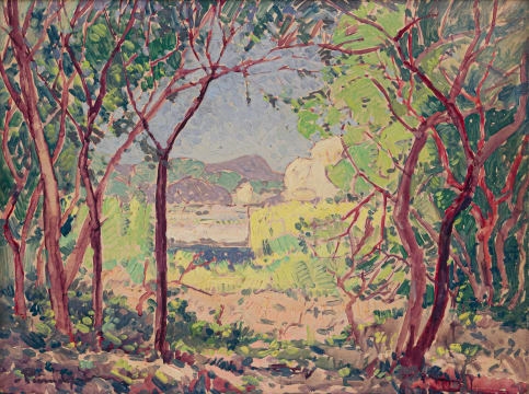 Jacob Hendrik Pierneef | Spring River Scene | MutualArt