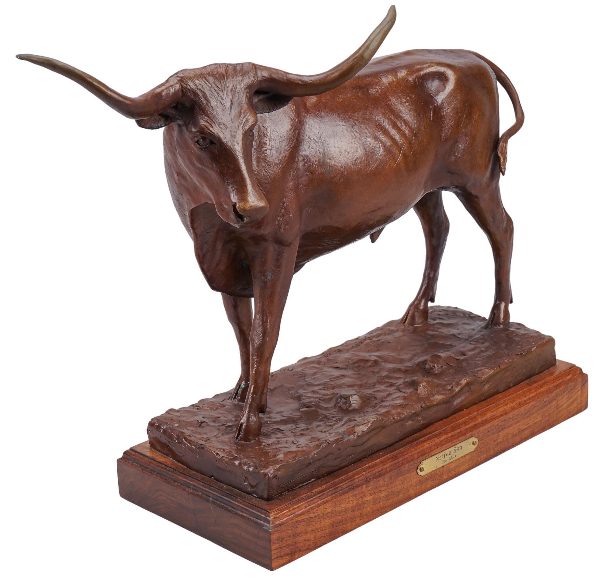 Tom Moss | Native Son (2007) | MutualArt