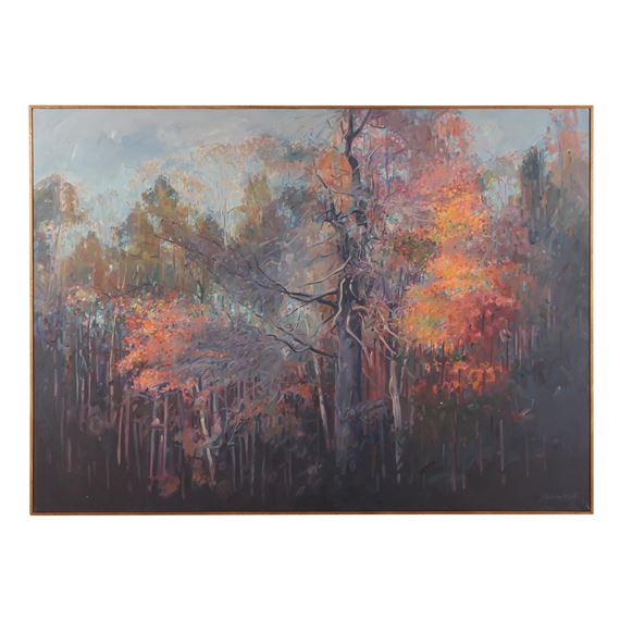 Steven Wolf | Biography