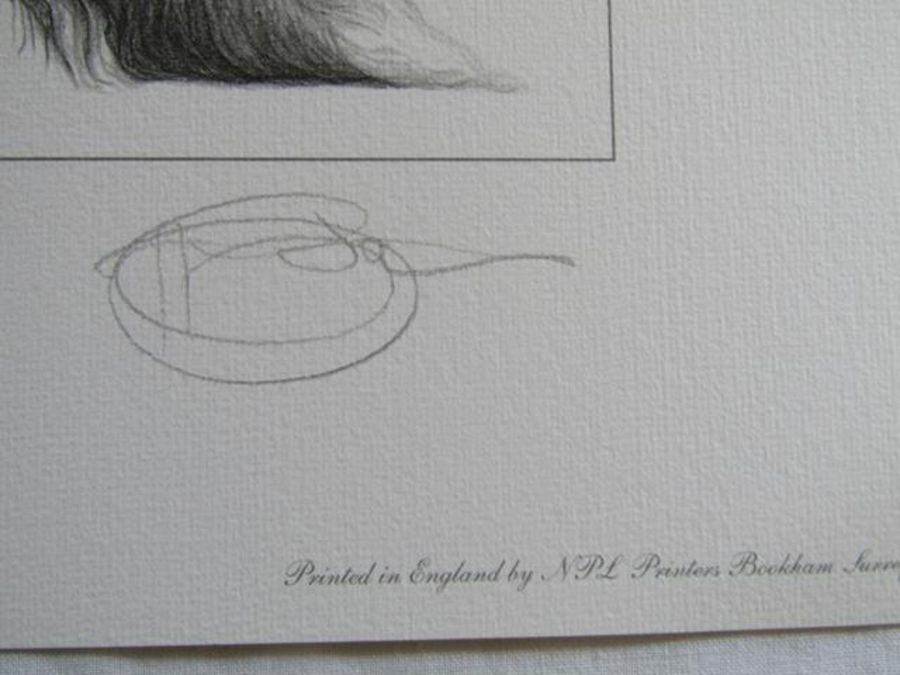 Gary Hodges | Little Foxes | MutualArt