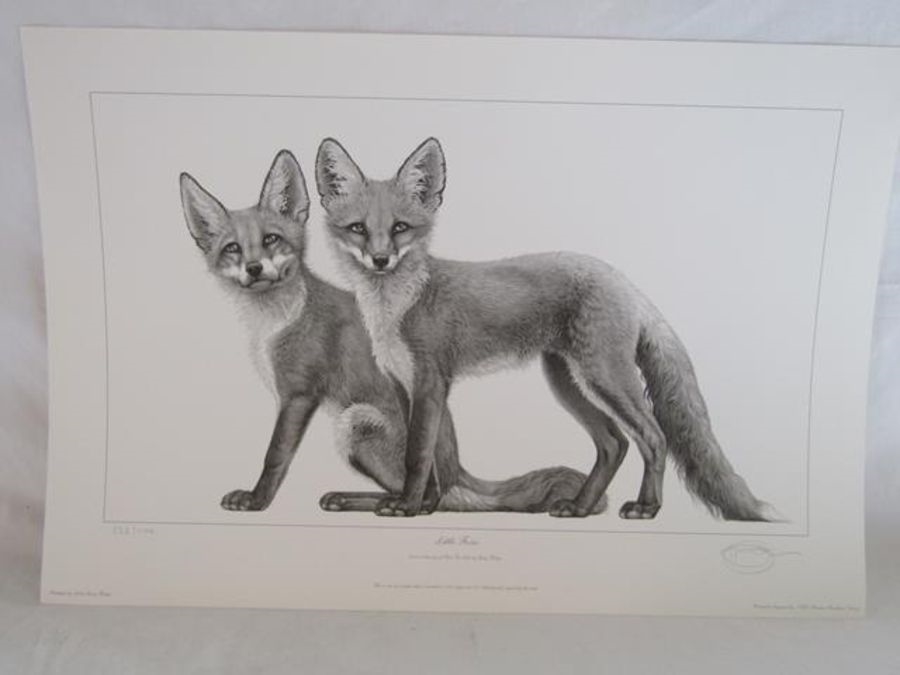 Gary Hodges | Little Foxes | MutualArt
