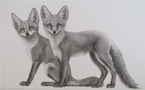 Gary Hodges | Little Foxes | MutualArt