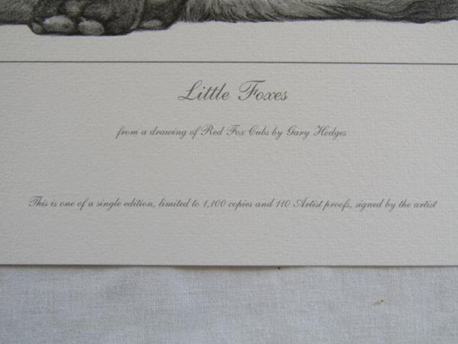 Gary Hodges | Little Foxes | MutualArt