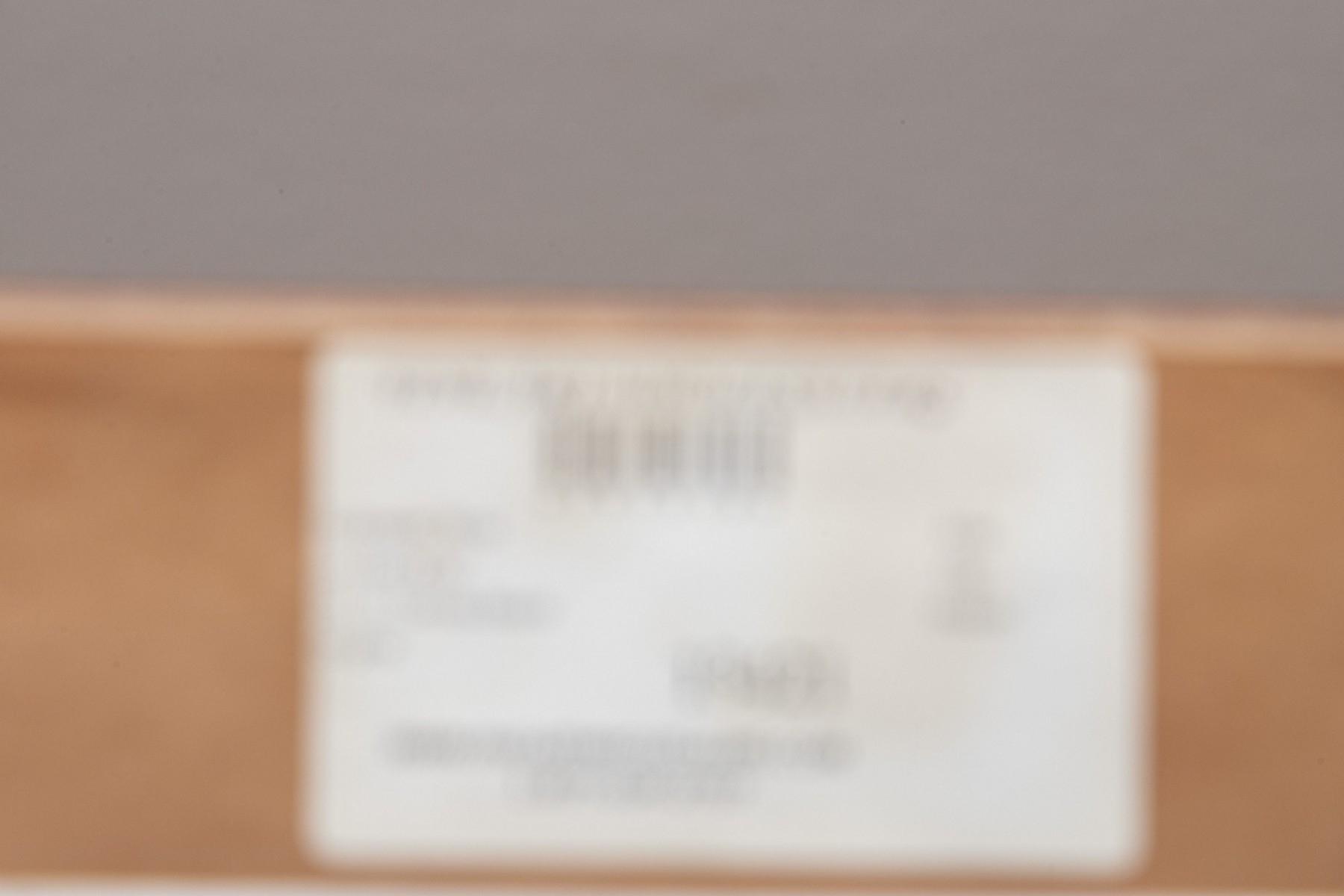 Rina Sutzkever | The artwork portrays a shrouded woman in spiritual ...