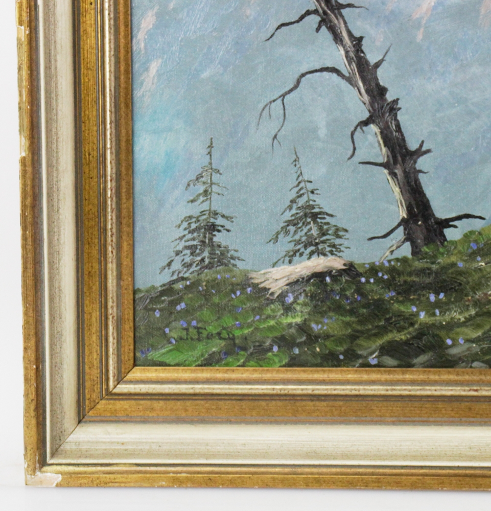 John Fery | Glacier National Park | MutualArt