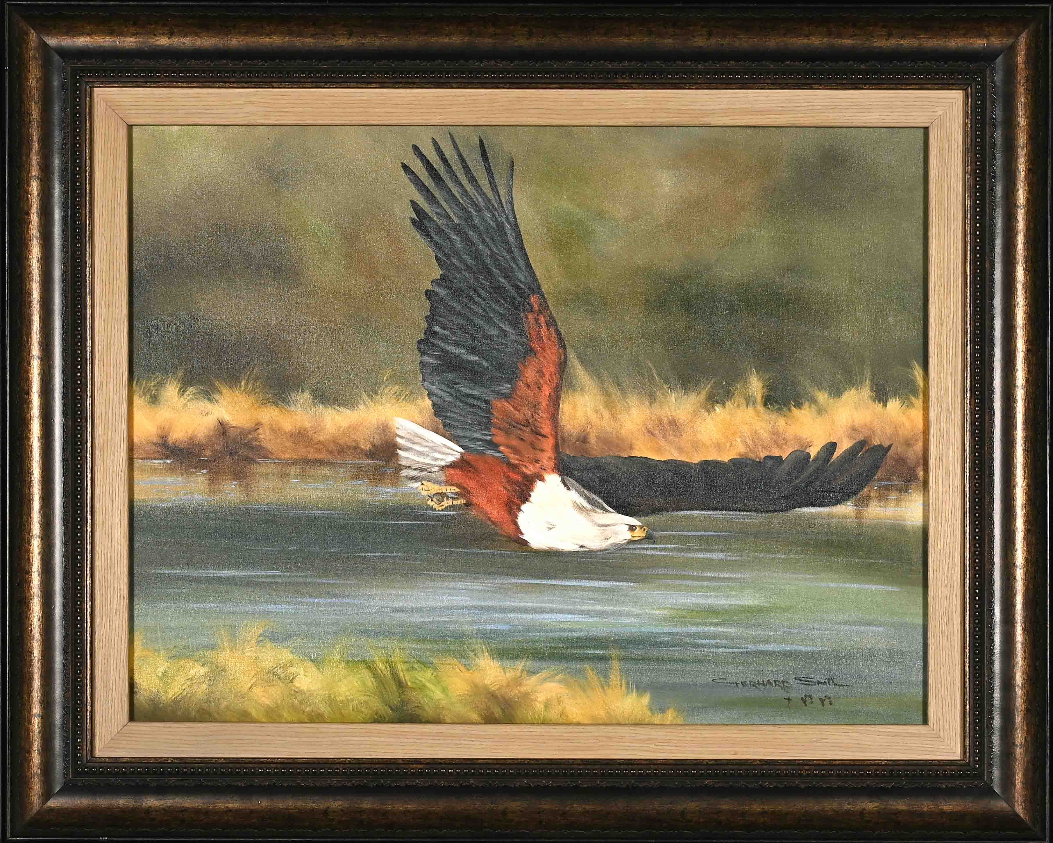 Gerhard Smit | Fish Eagle in Flight | MutualArt