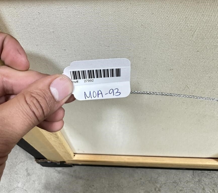 Merle Locke | Indian Dragonfly Chaser | MutualArt