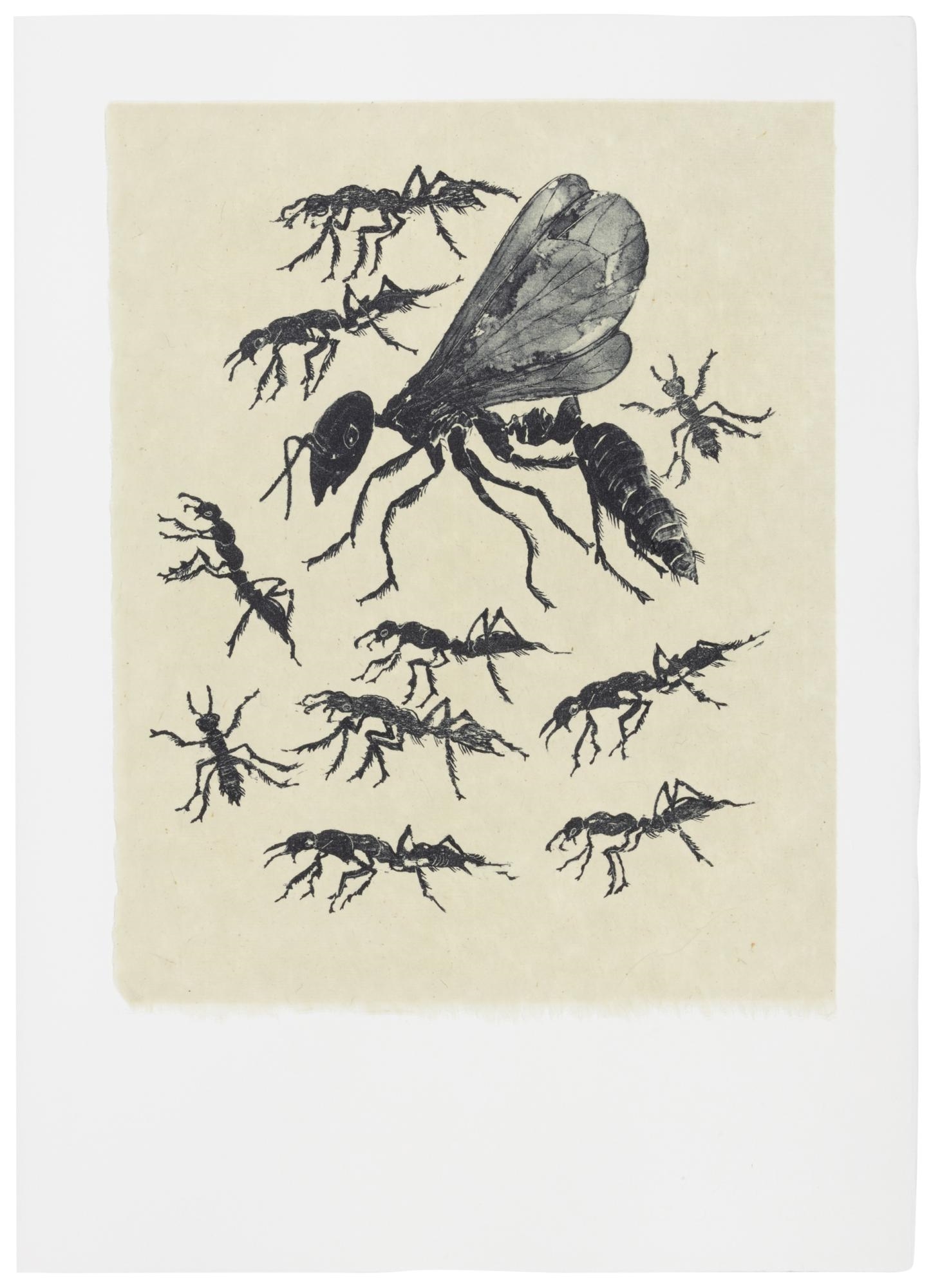 Rudy Pozzatti | Darwin's Bestiary (1986) | MutualArt
