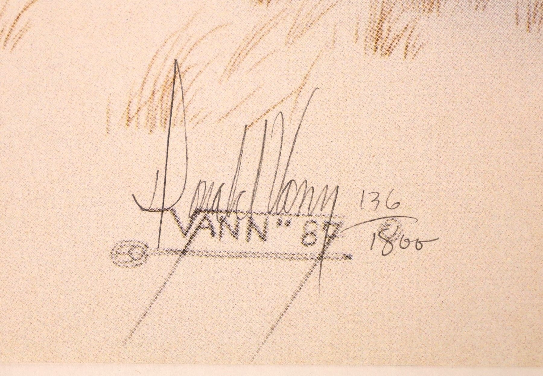 Donald Vann | December Sky (1987) | MutualArt