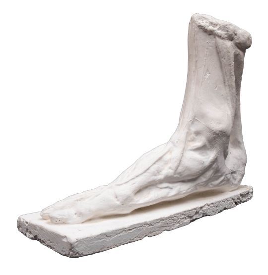John Shapland | A plaster anatomical model of an écorché foot | MutualArt