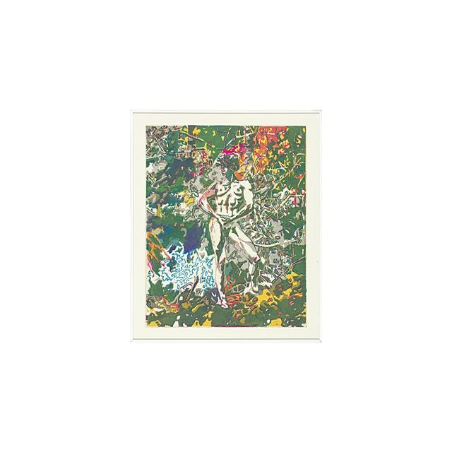 Tadanori Yokoo | Lisa Lyon in Izukogen, March 23, 1984-I | MutualArt