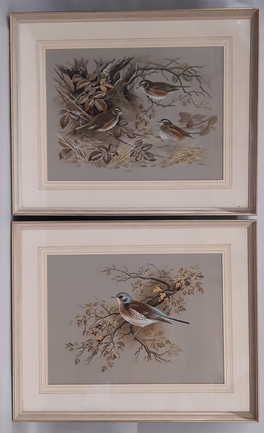 Nicholas Bird