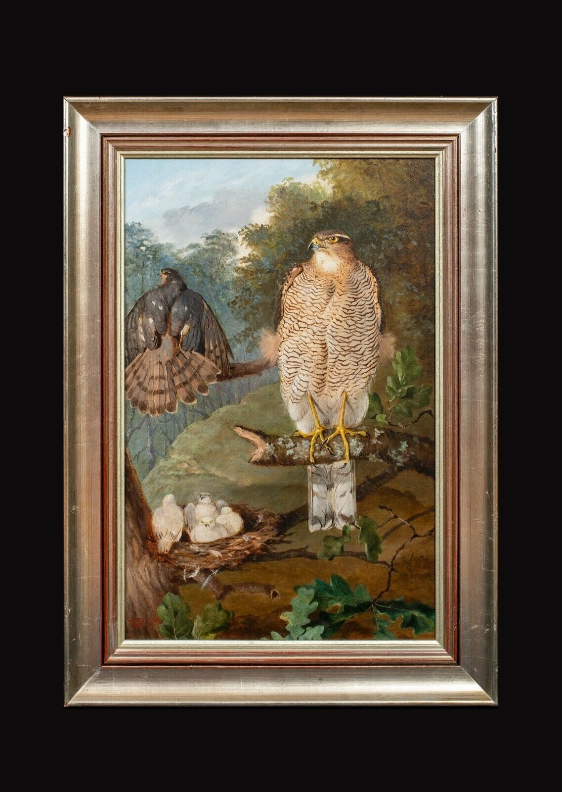 William Brodrick | TWO SPARROW HAWKS AT THEIR NEST | MutualArt